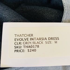 Alisse Thatcher | Dresses | Thatcher Dress By Alisse Thatcher Evolve ...